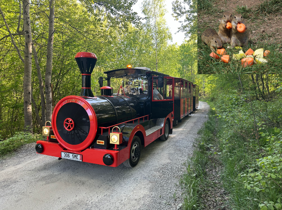 Rekreačný areál Predná hora